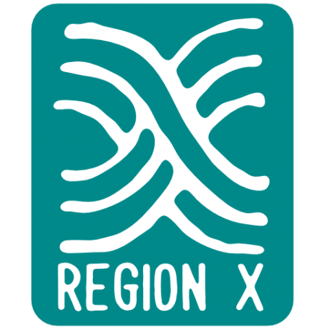 Batemans Bay Tours & Kayak Hire - Region X - Unspoilt Experiences