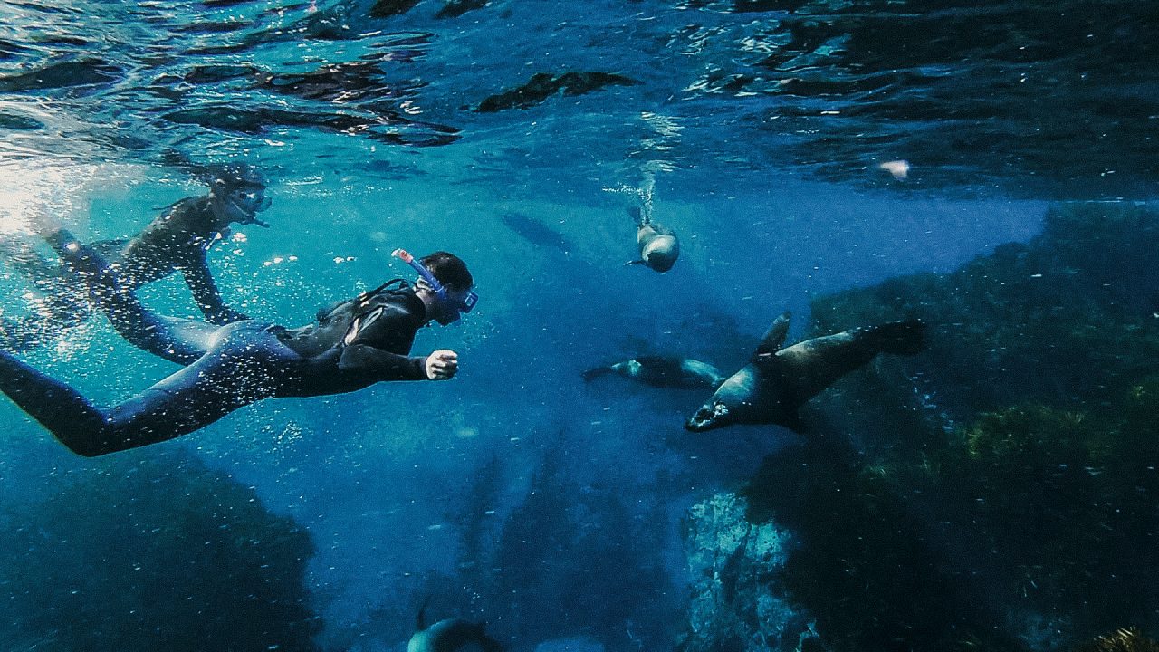 Half Day Sea Kayak Tour - Region X - Unspoilt Experiences