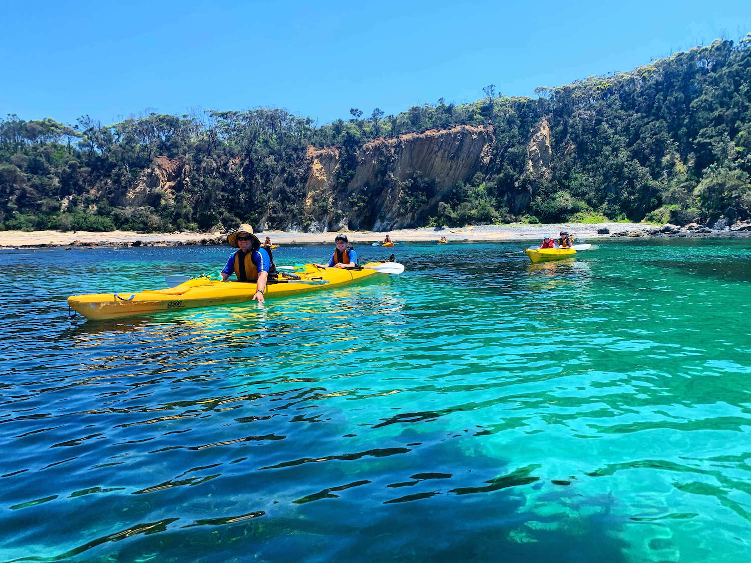 Researchers, Citizen Scientists count little penguins on Snapper Island ...