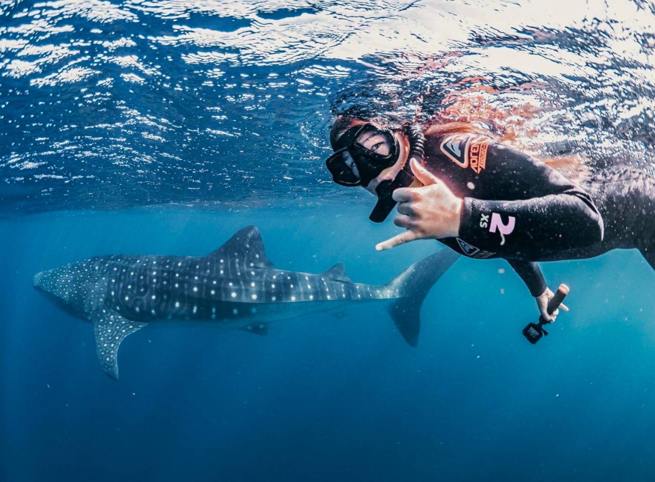 SEA KAYAK NINGALOO REEF AND SWIM WITH WHALE SHARKS EXPEDITION! - Region ...
