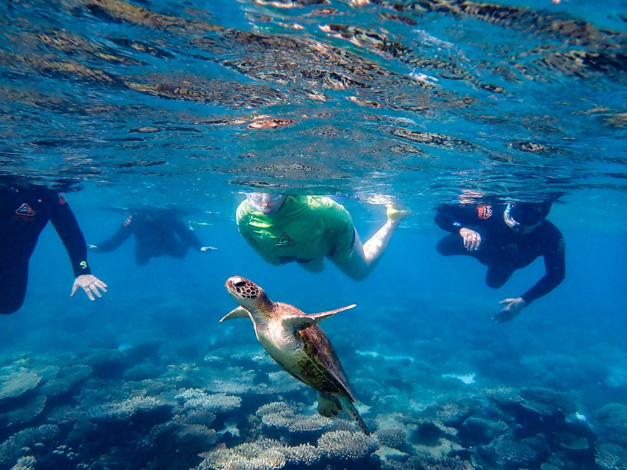 Sea Kayaking On The Ningaloo Reef: Highlights - Region X - Unspoilt ...